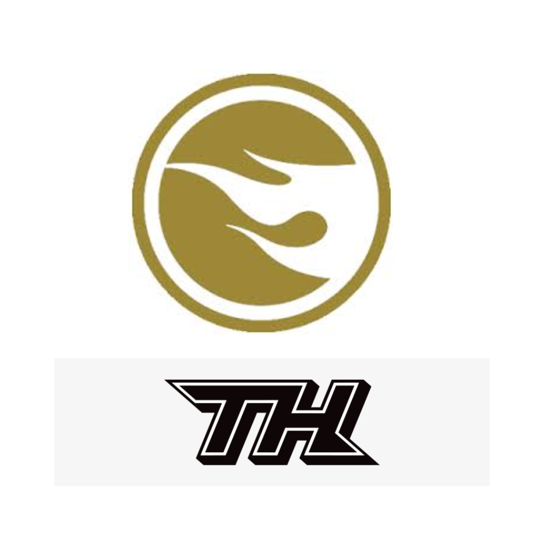 Hot Wheels Super Treasure Hunt Logo